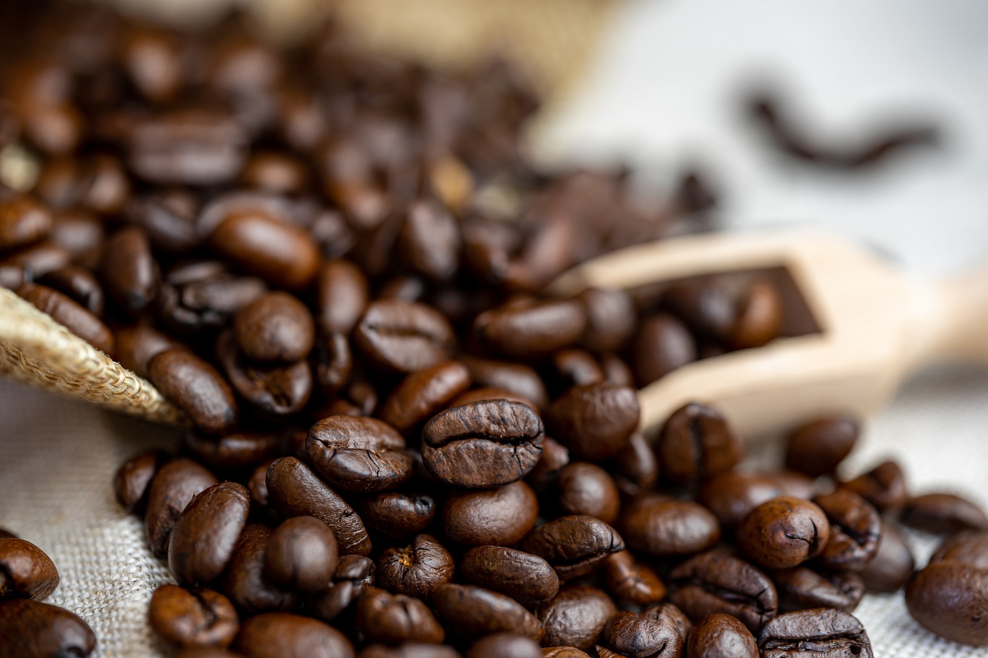 Jenis-Jenis Kopi Paling Mahal di Dunia - MyHaluan